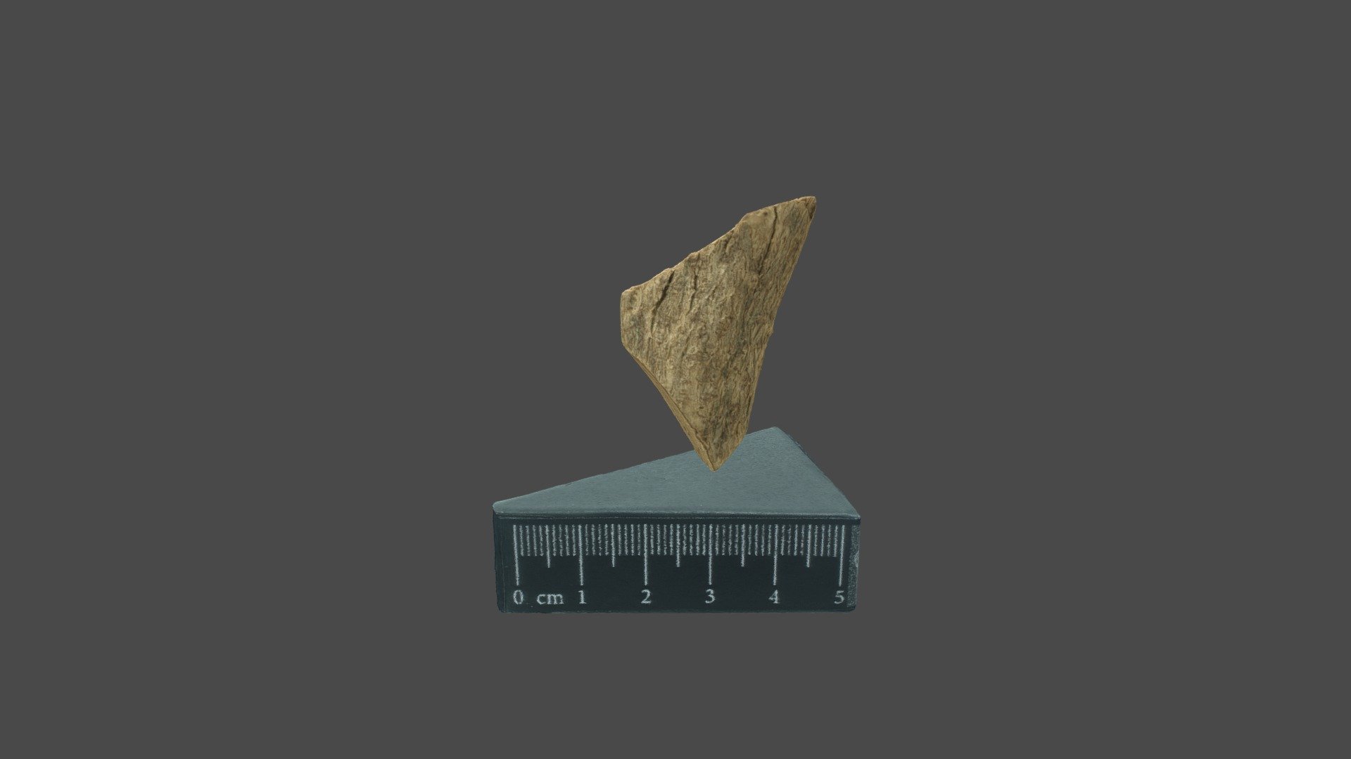ย่านาง (แห้ง) scale bar - Download Free 3D model by SCPHC ...