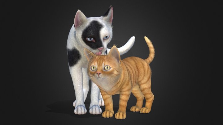 Kitten 3D models - Sketchfab