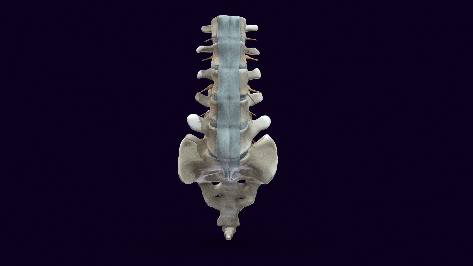 Coluna - 3D model by julianark (@jkrt) [125bfc7] - Sketchfab