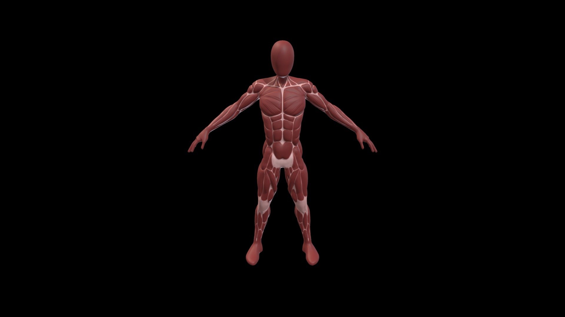 GymOn - 3D model by Lukas (@lucas.goubeau) [1265e5b] - Sketchfab