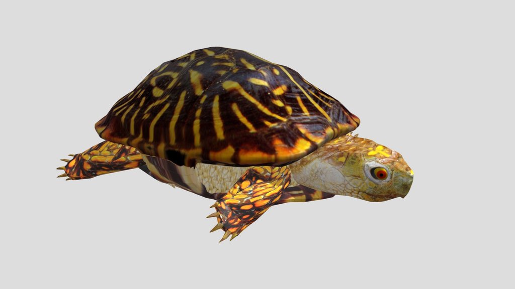 Animals - A 3D model collection by victorberdugo1 - Sketchfab