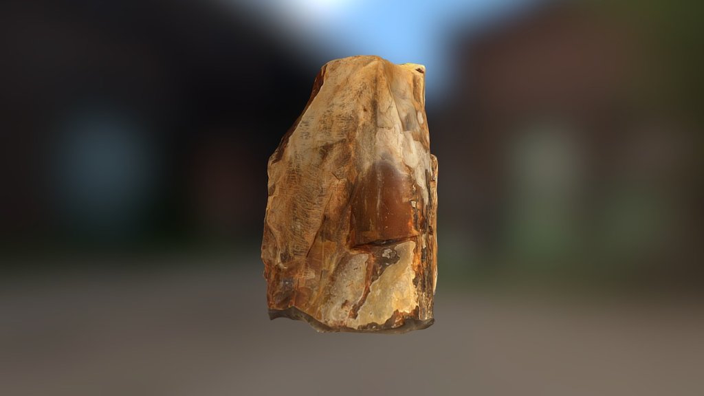 Petrified Wood 1 - 3D model by gburkett05 [12687ad] - Sketchfab