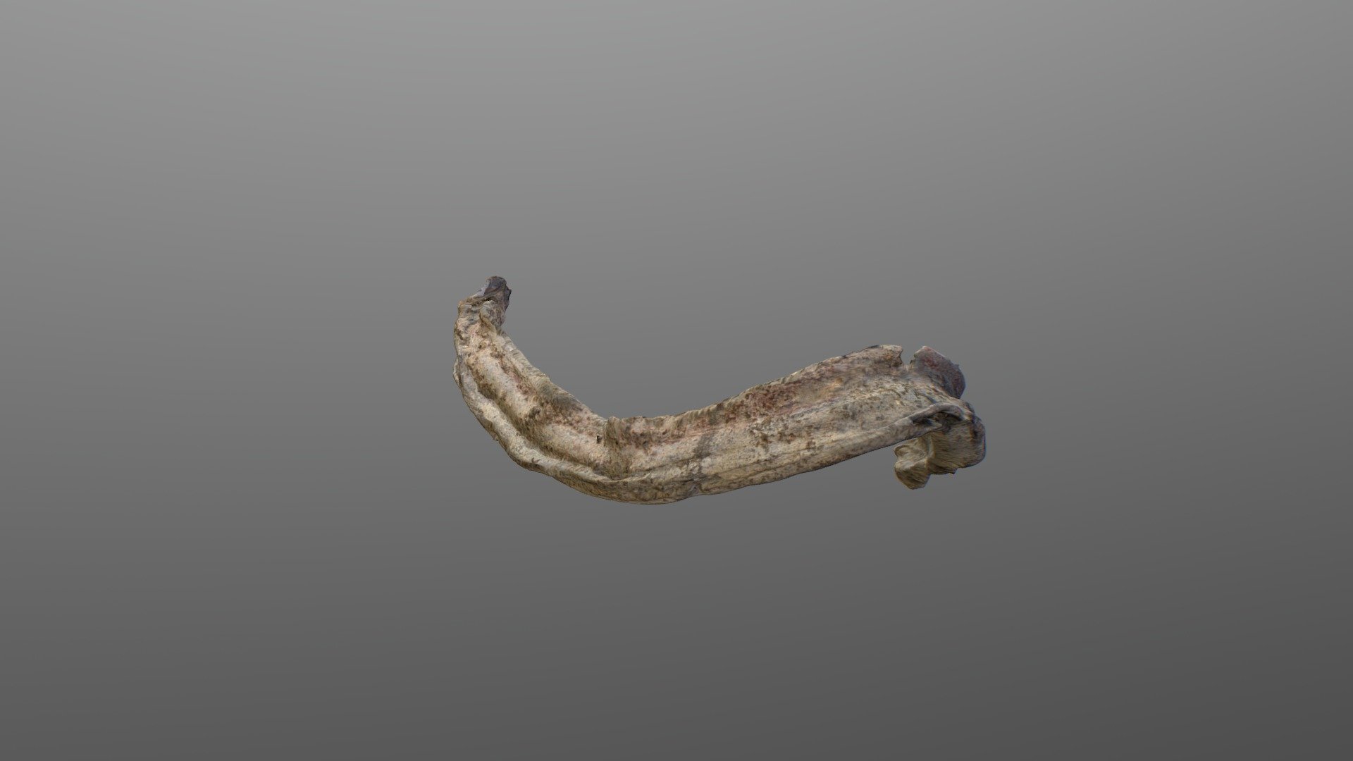 Window Lead - 3D model by diggingi95 [126ac17] - Sketchfab
