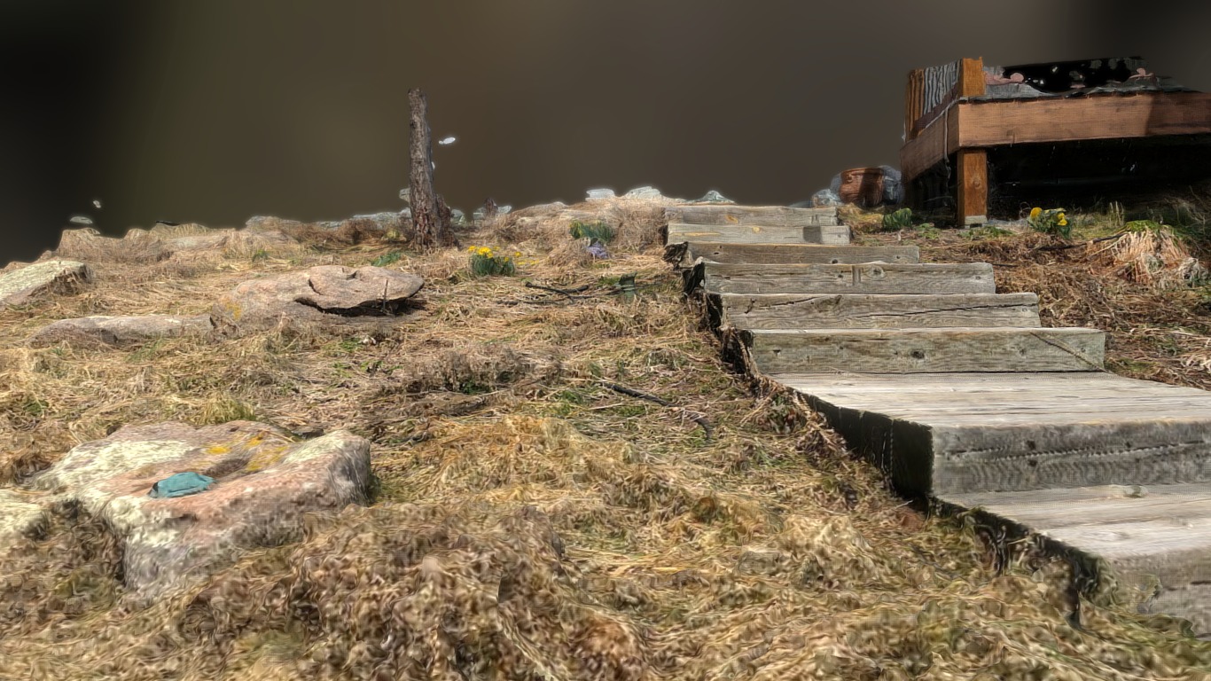 Steps - 3D model by rickking16 [126dd62] - Sketchfab