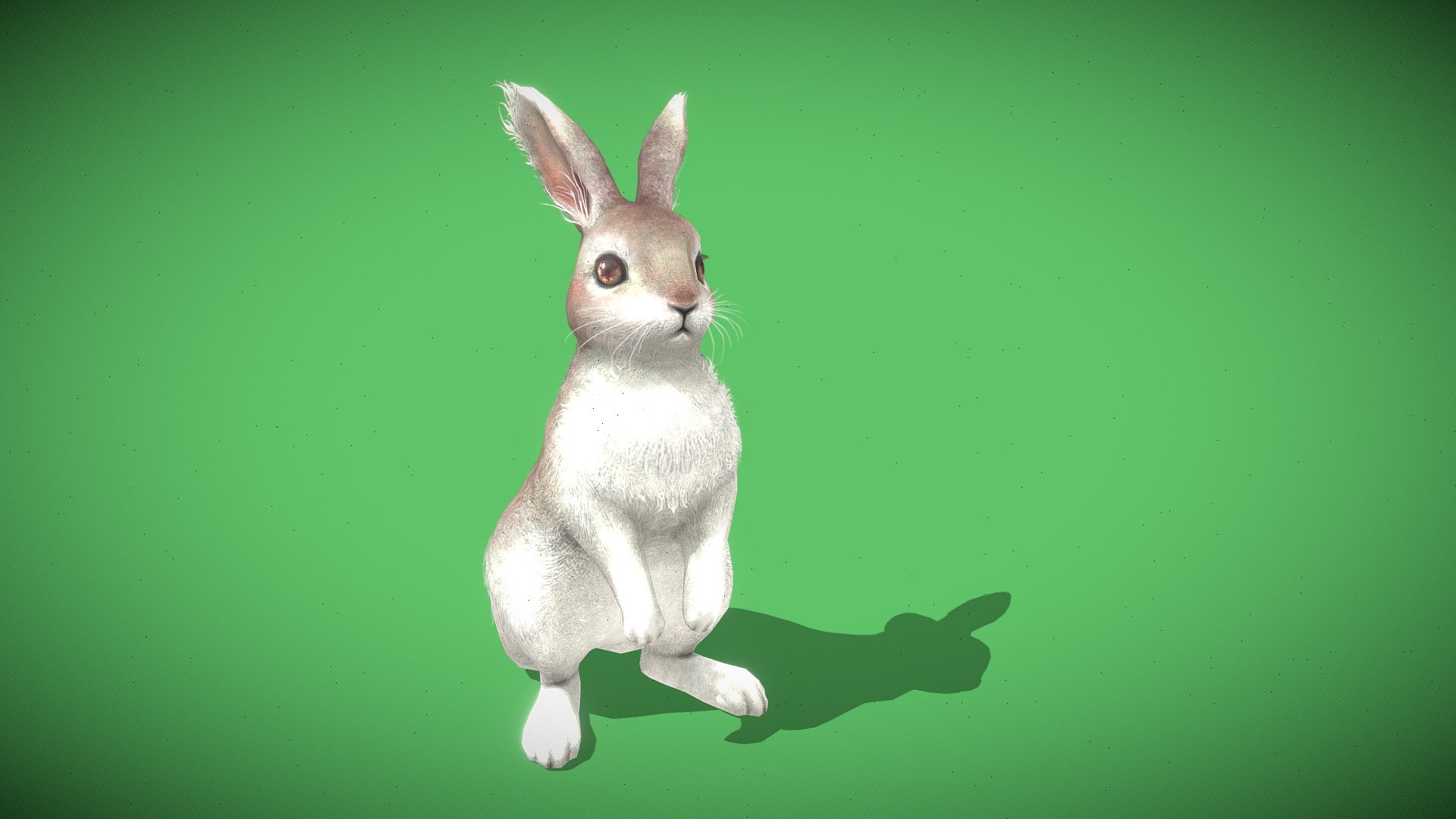 Wabbit - 3D model by ₦₥₵ ฿₵ (@nmcbc) [12706db] - Sketchfab