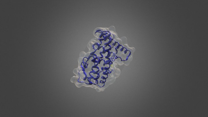 Peptide 3D models - Sketchfab