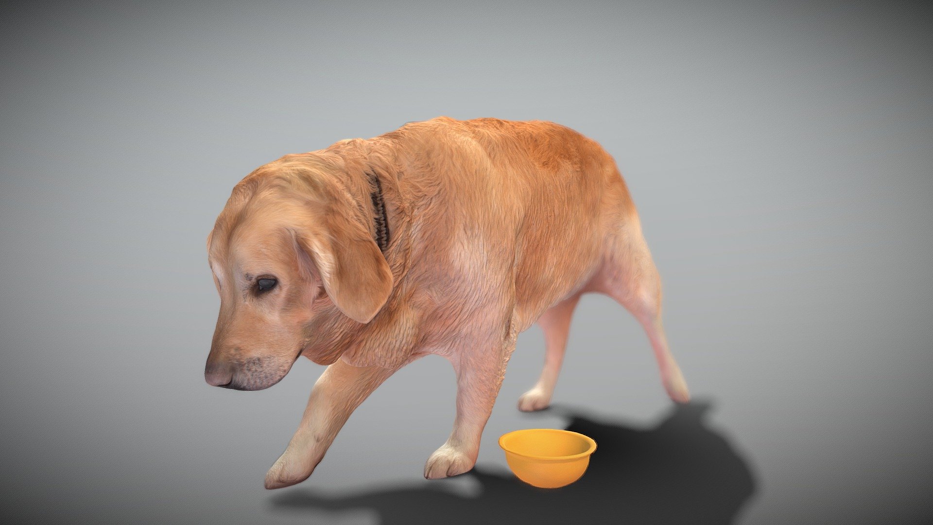 Golden retriever dog 33 - Buy Royalty Free 3D model by deep3dstudio ...