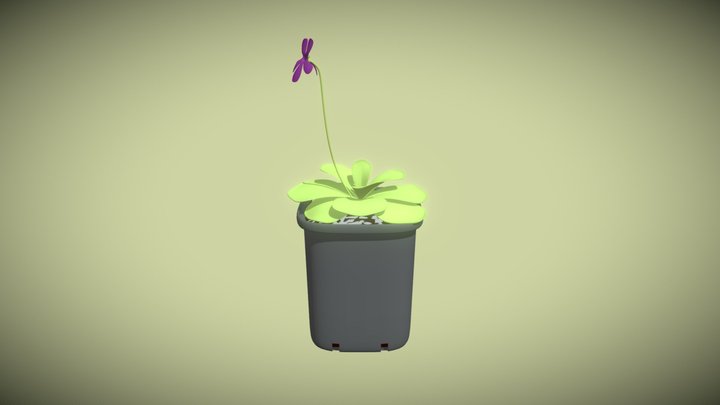 Pollination 3D models - Sketchfab