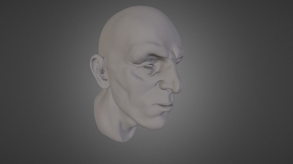 Head Reference - A 3D model collection by Retalia (@HellKnight) - Sketchfab
