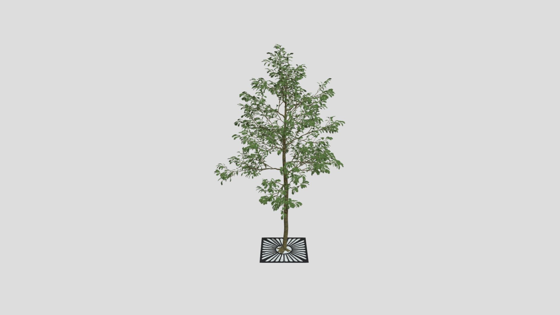 tree 27 AM207 Archmodel - Buy Royalty Free 3D model by Evermotion ...