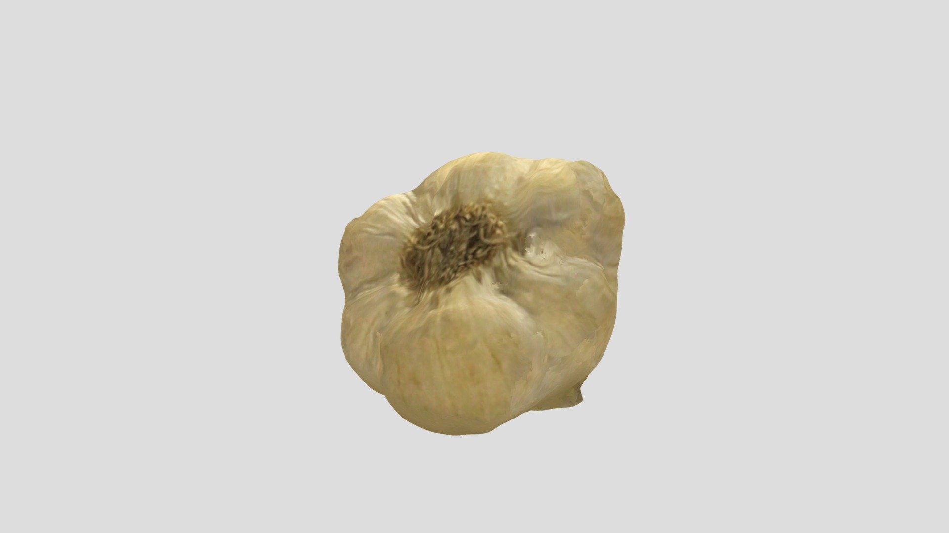 Garlic - Download Free 3D model by Zebra_007 [128fadc] - Sketchfab