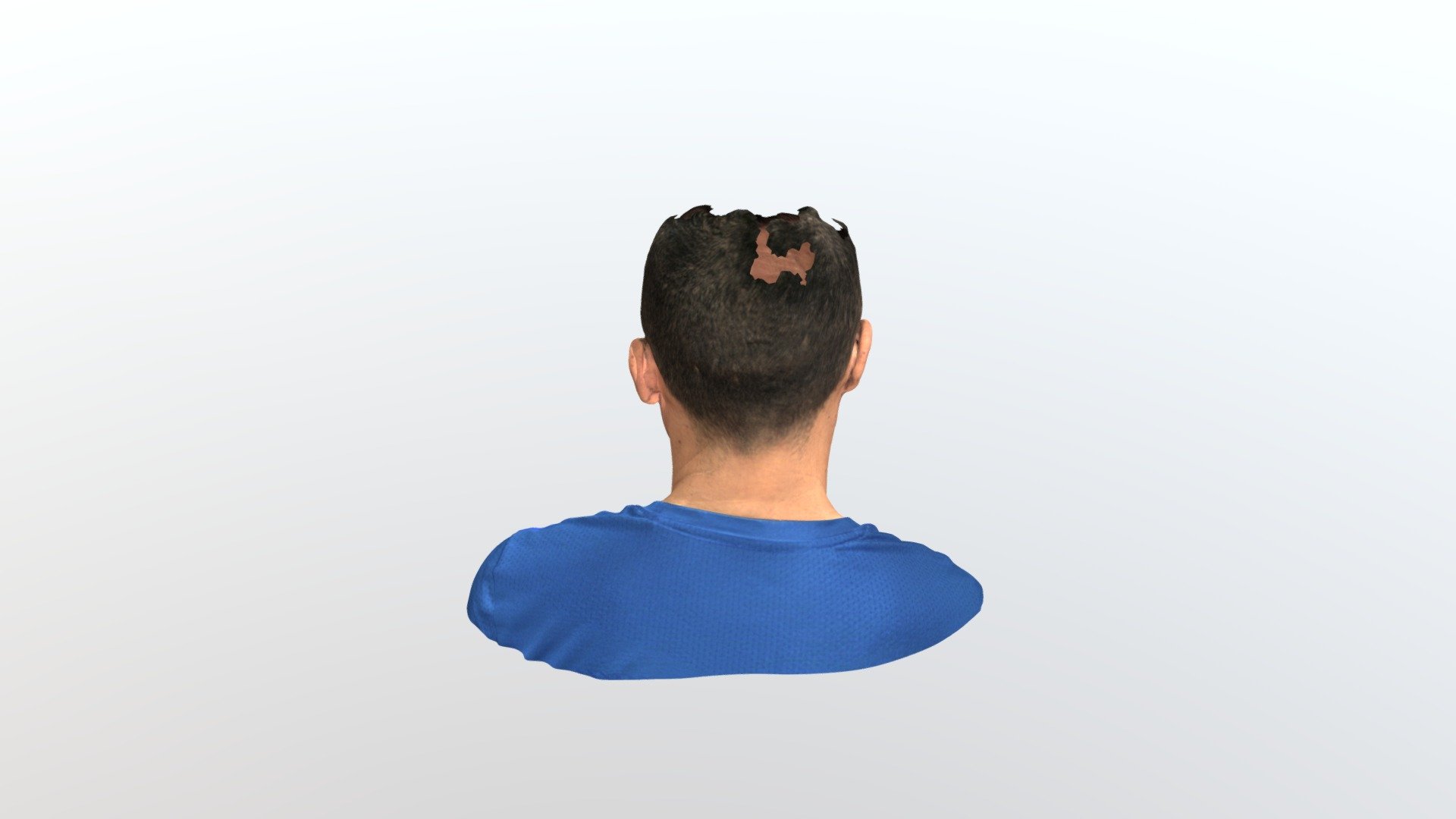 3D Scanning For Making Glasses - CATI3D - Download Free 3D model by ...