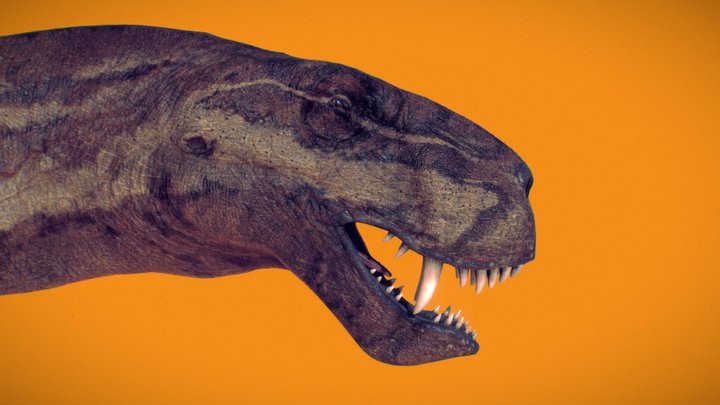 Gorgonops 3D models - Sketchfab