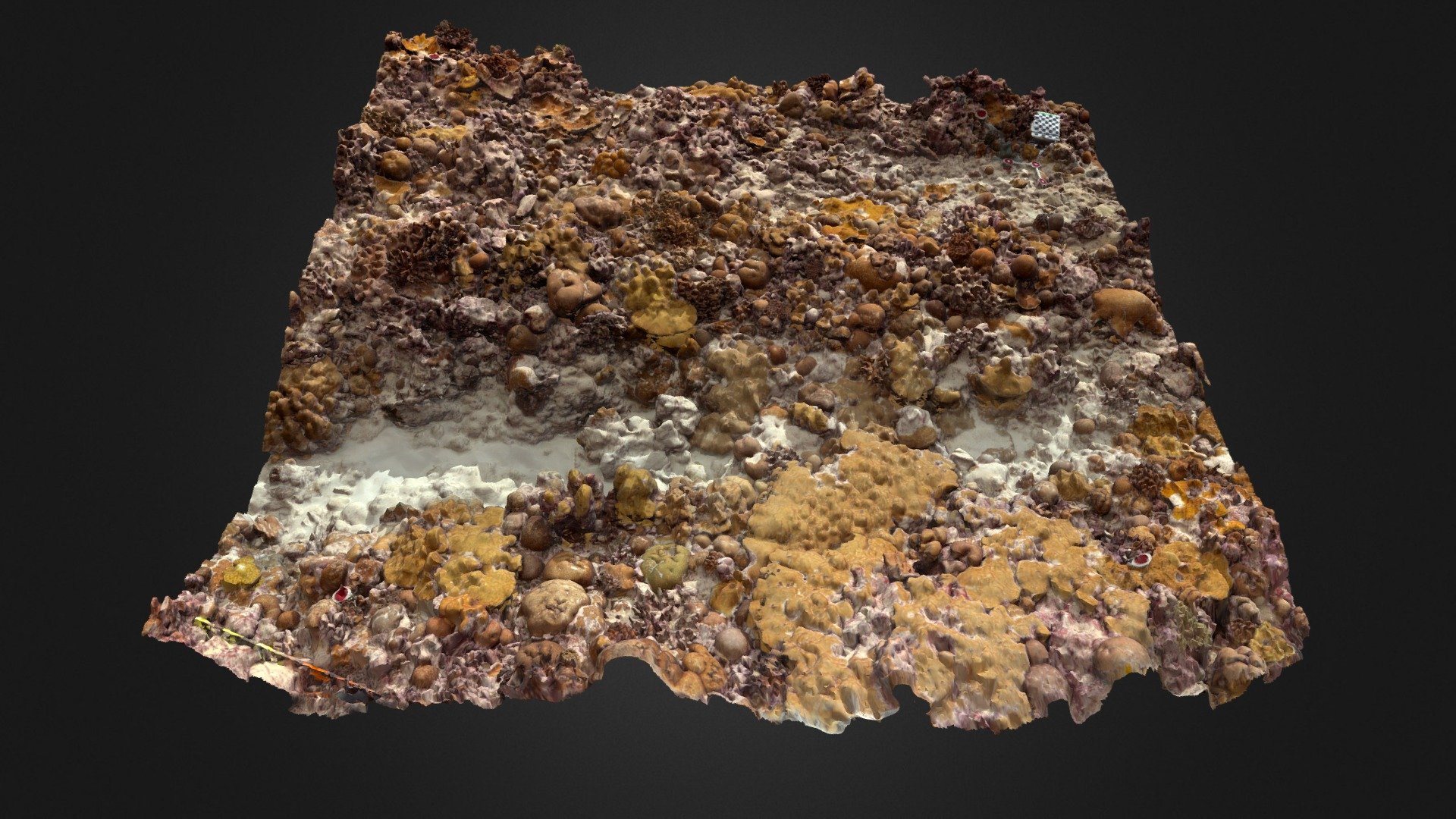 May 2015 southwest coast of Kiritimati, Kiribati - 3D model by baumlab ...