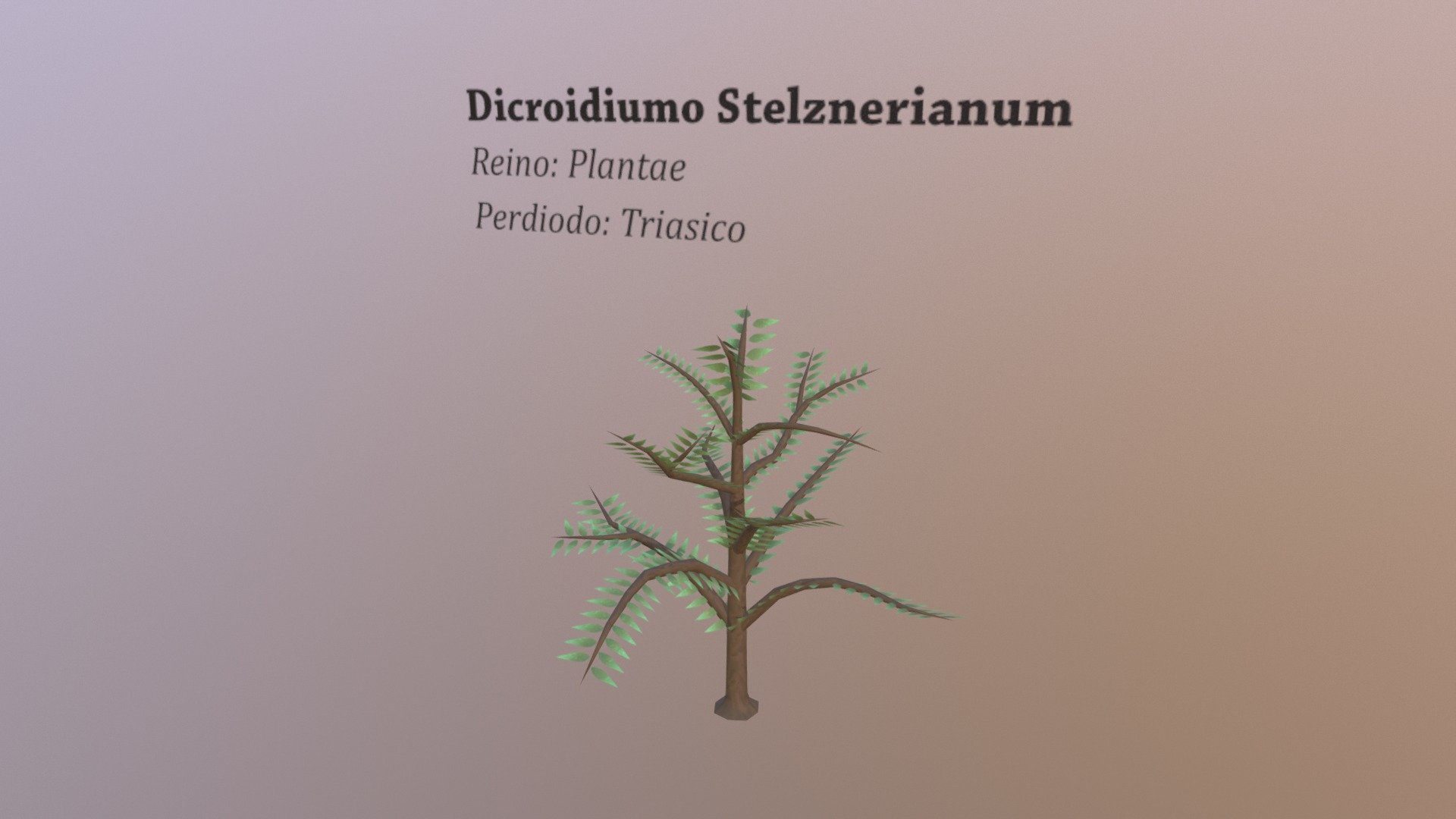 Dicroidium - 3D model by liendre [129803f] - Sketchfab