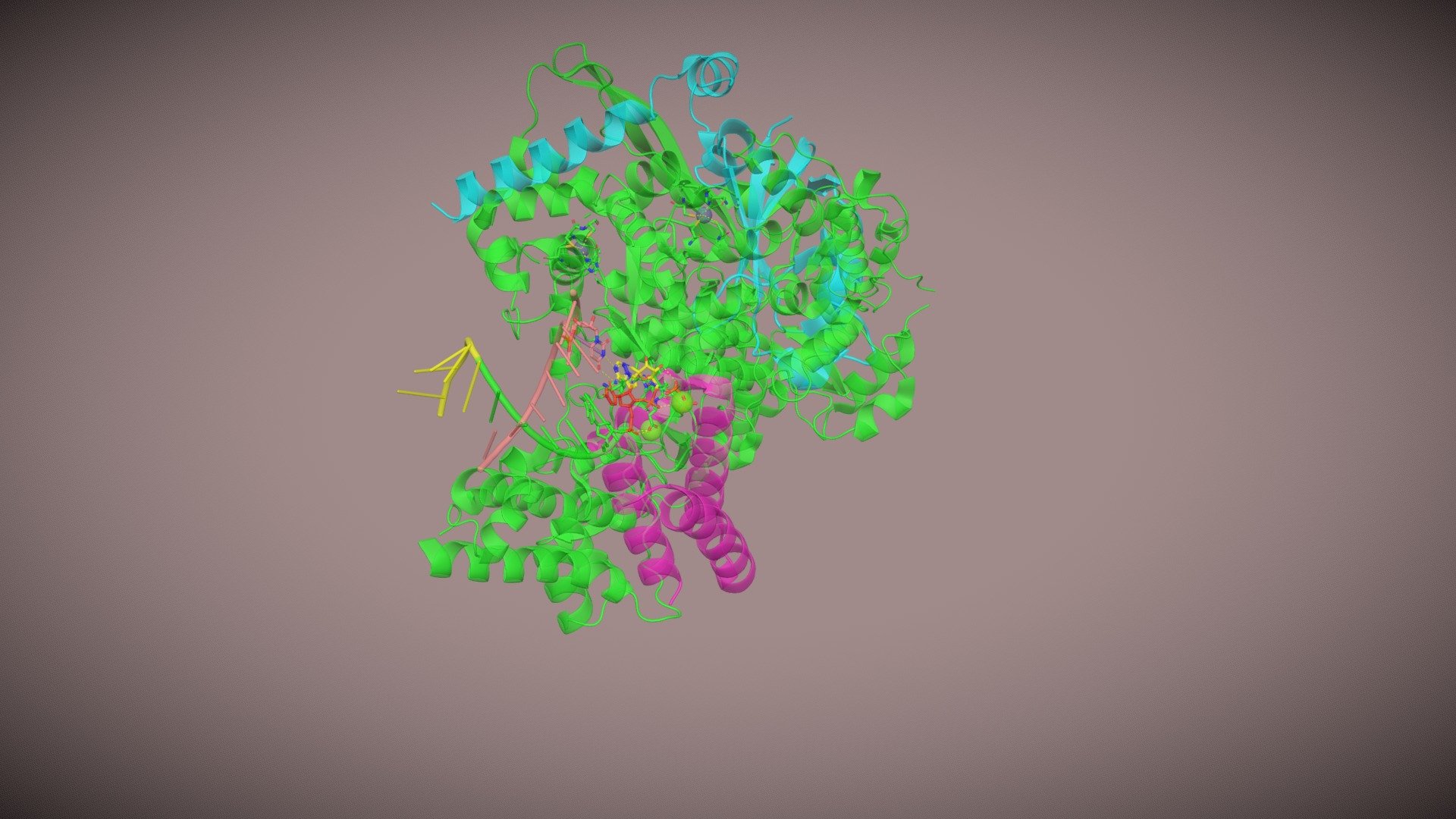 RNA dependent RNA polymerase Interactions - 3D model by Drew Janssen ...
