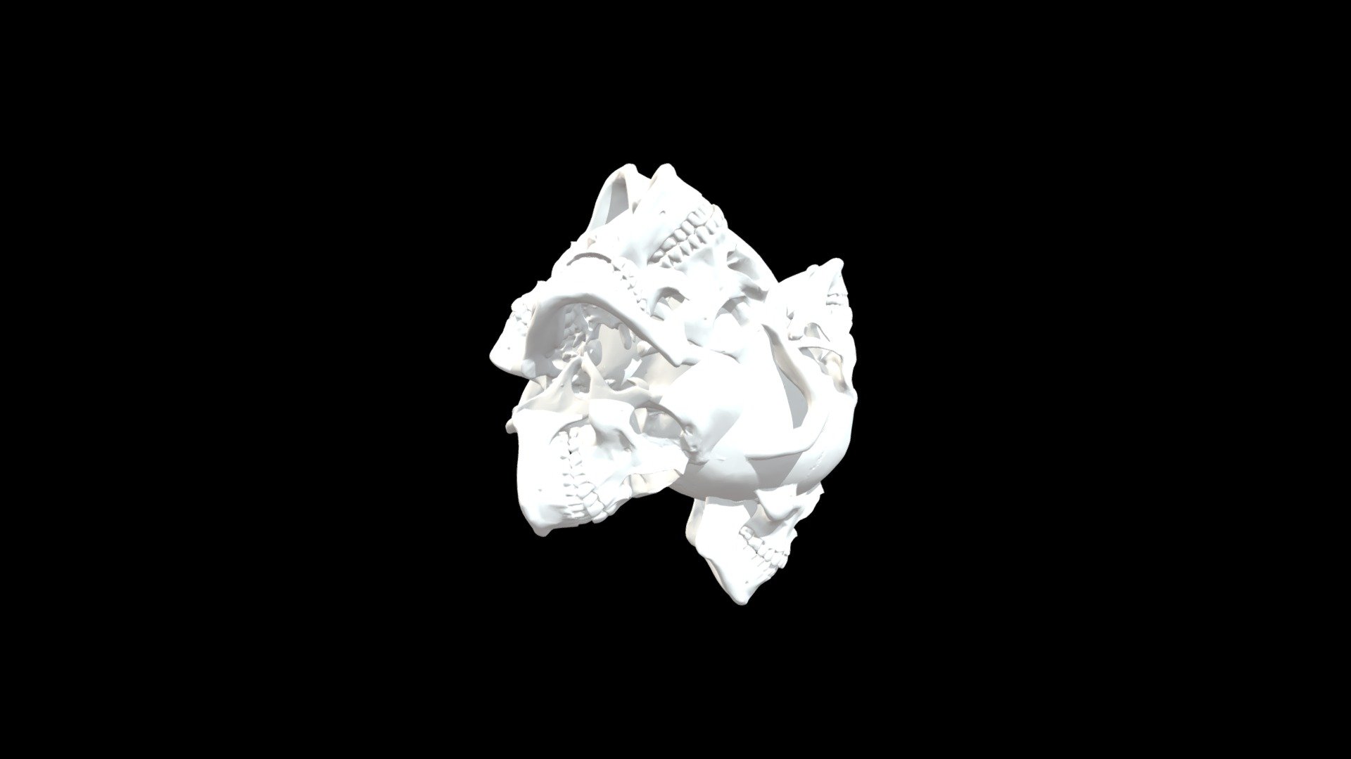 Merged Skulls 1 - 3D model by ericjong [12a0096] - Sketchfab