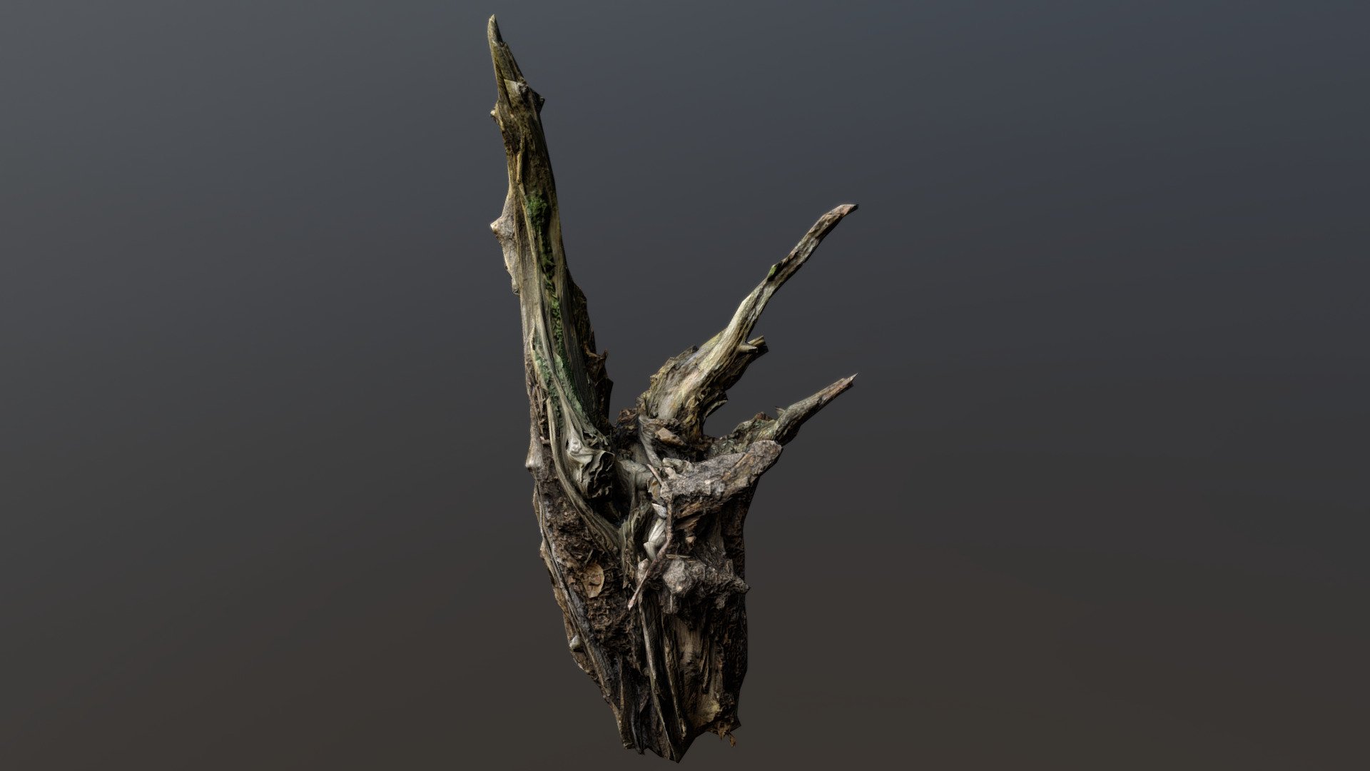 broken tree part - 3D model by v124entkl [12a3153] - Sketchfab