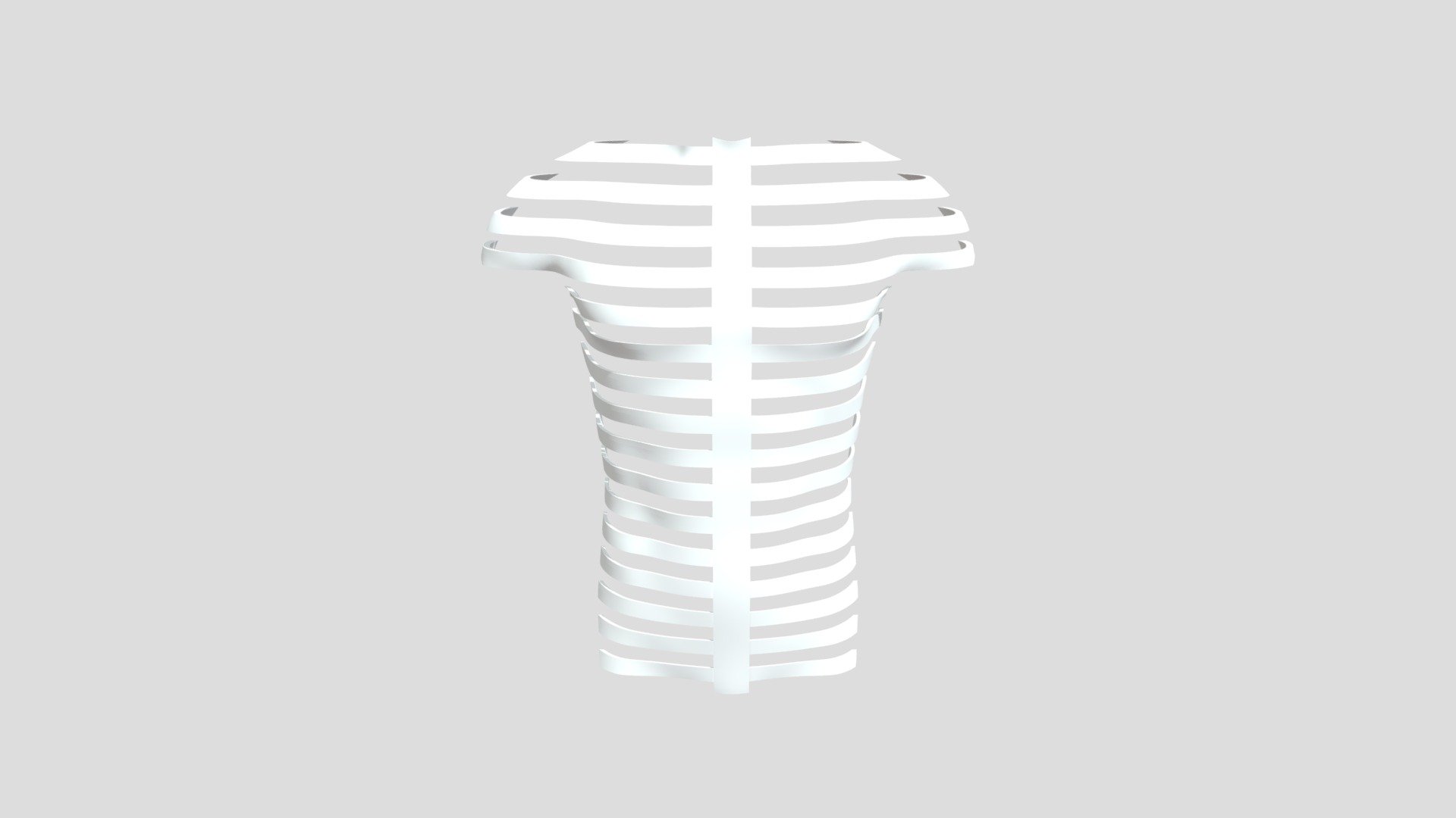 Ribs 3D Body Print - 3D model by adamches [12a52ba] - Sketchfab