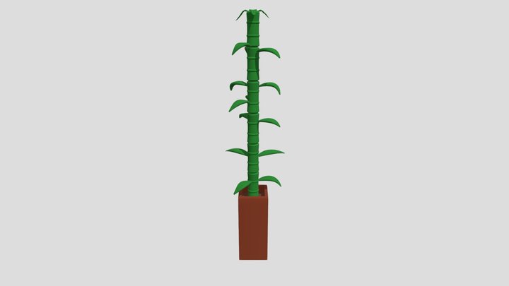 Bamboo 3D models - Sketchfab