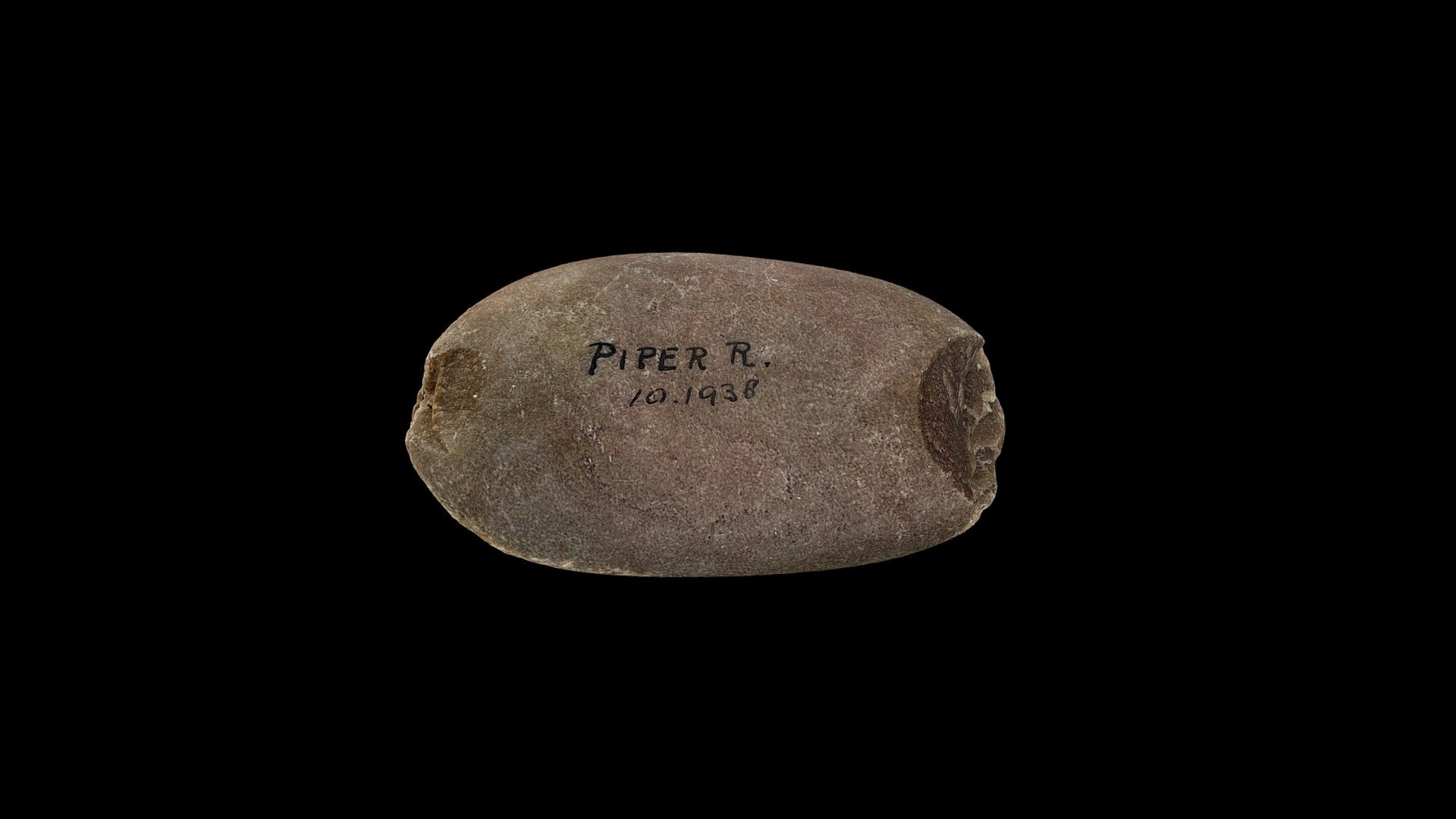 Stone tool - 3D model by Queen Victoria Museum and Art Gallery (QVMAG ...