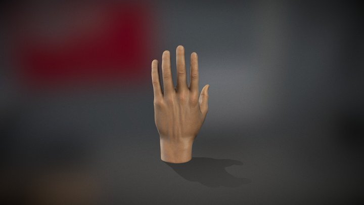 Hand 3D models - Sketchfab