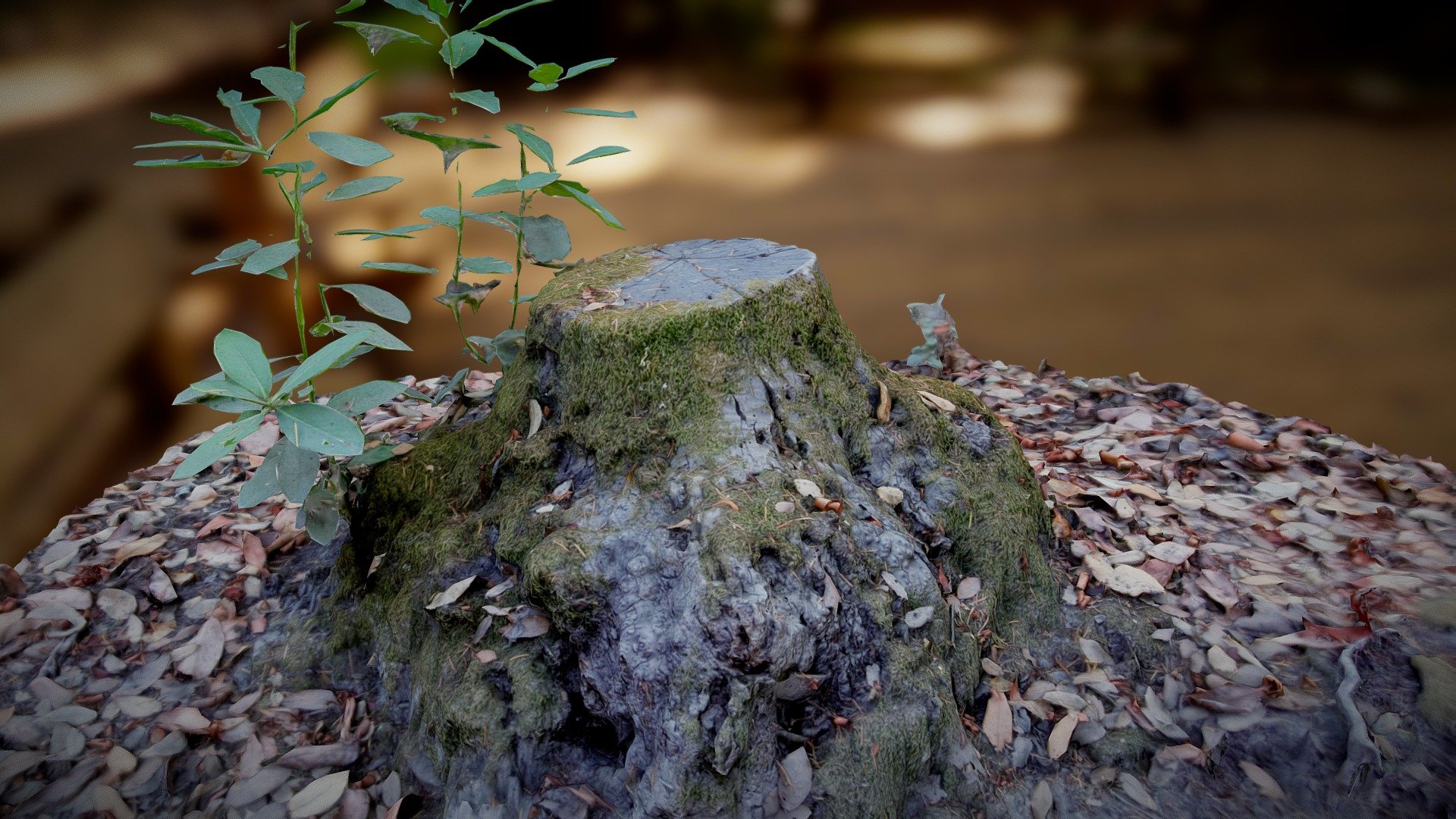 A second stump - 3D model by Abby Crawford (@abby) [12b17a7] - Sketchfab