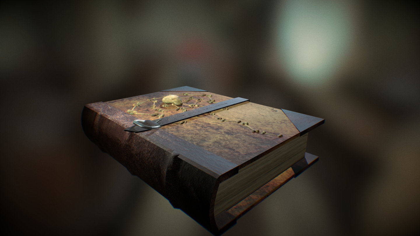 Magic Book - 3D model by forthefuture [12b4755] - Sketchfab