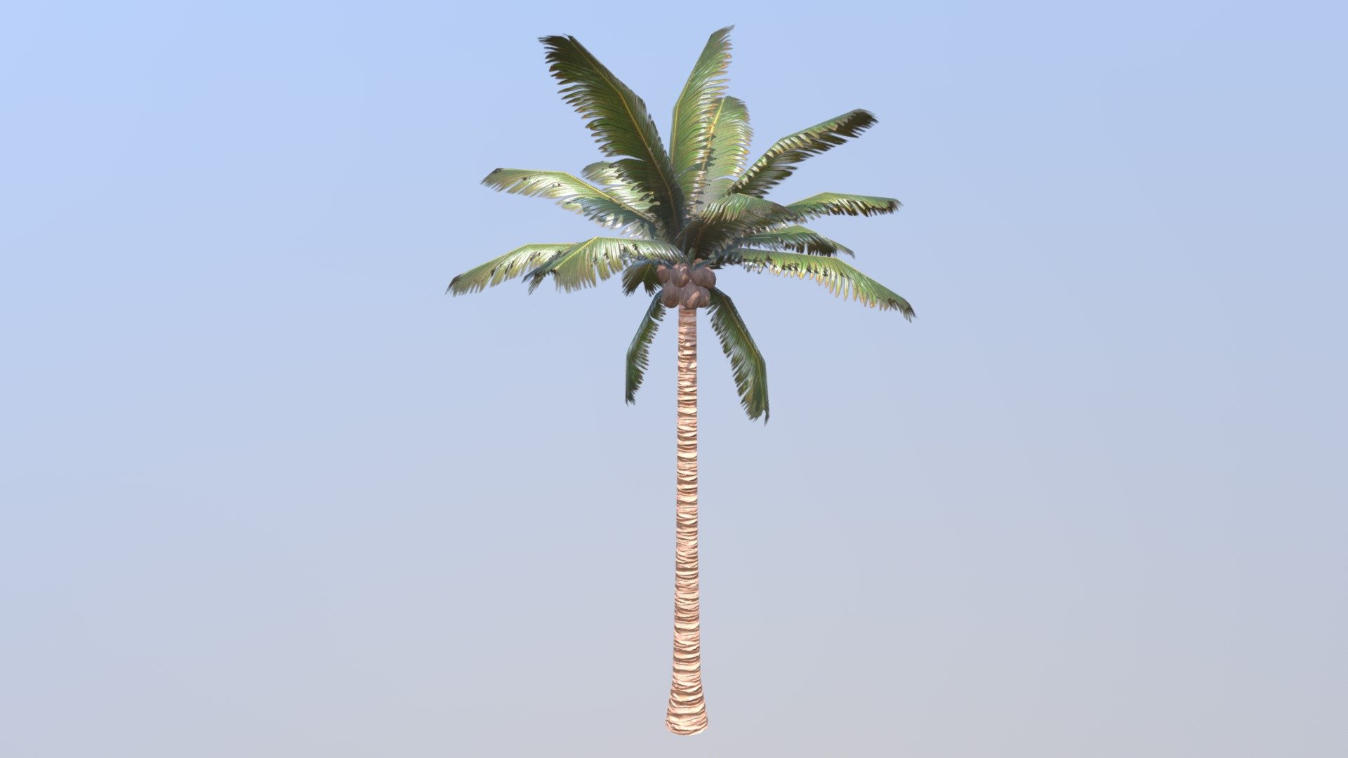 Palm Tree - 3D model by Kugatsu Tsukai 3D Model Hub (@KugatsuT ...