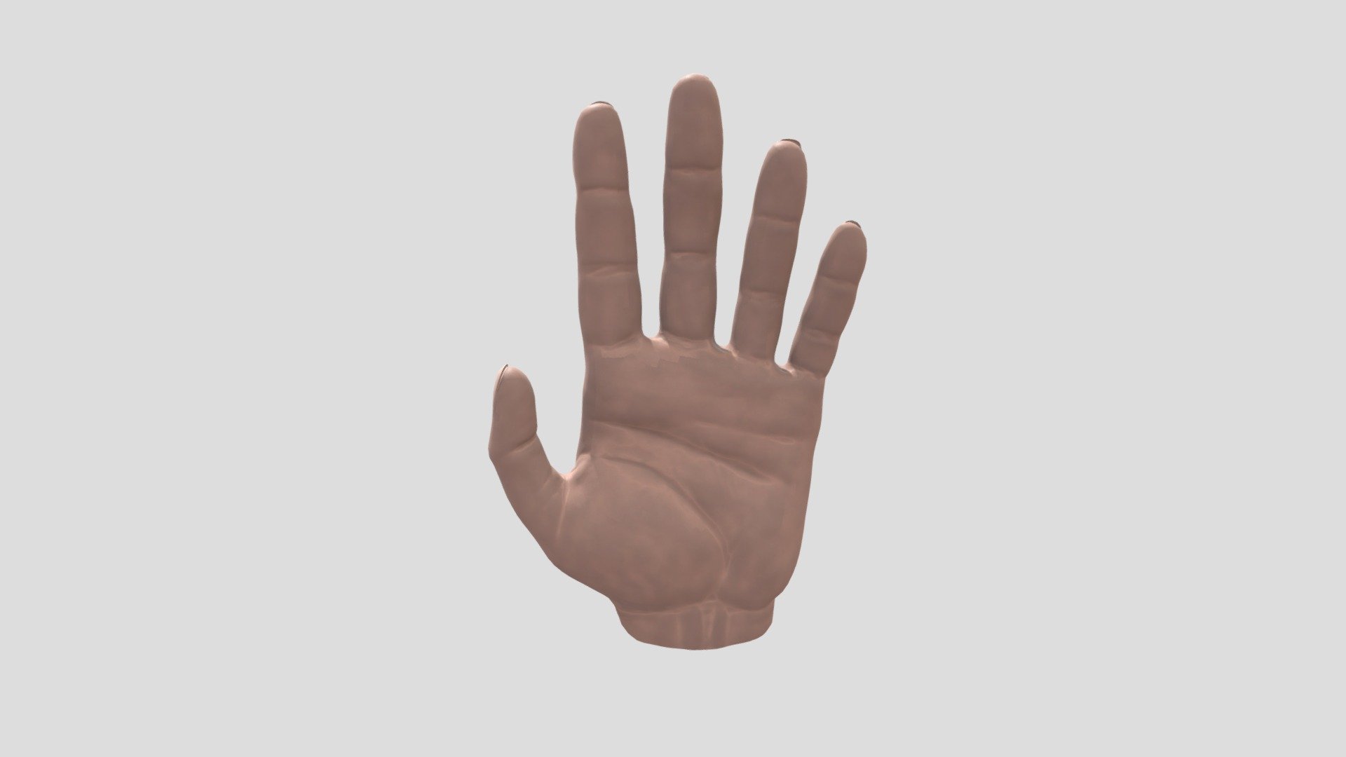Hand - 3D model by Skeraxis_Studios [12c3a8b] - Sketchfab