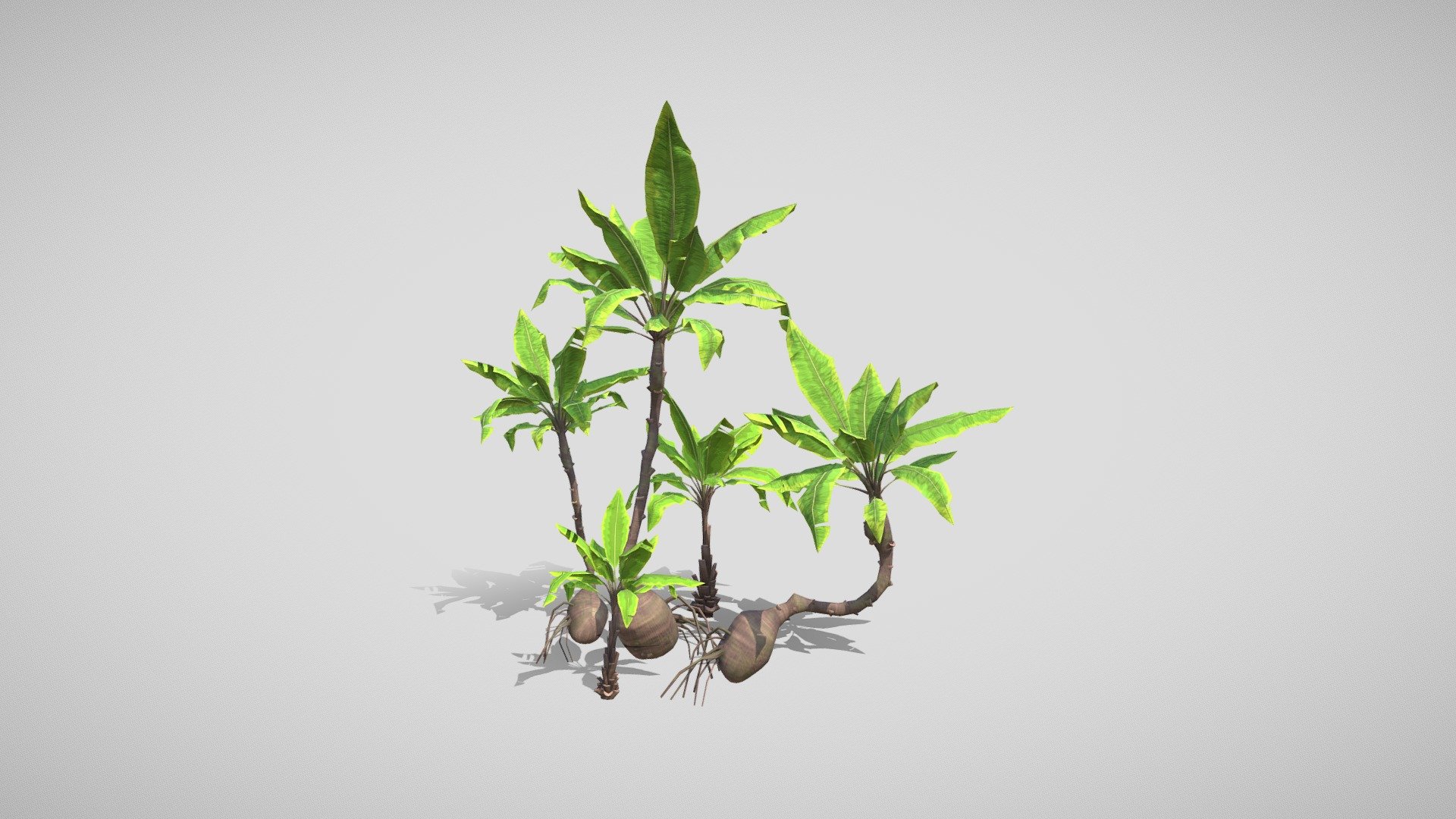 Palm tree set Cartoon Stylized Hand painted - Buy Royalty Free 3D model ...