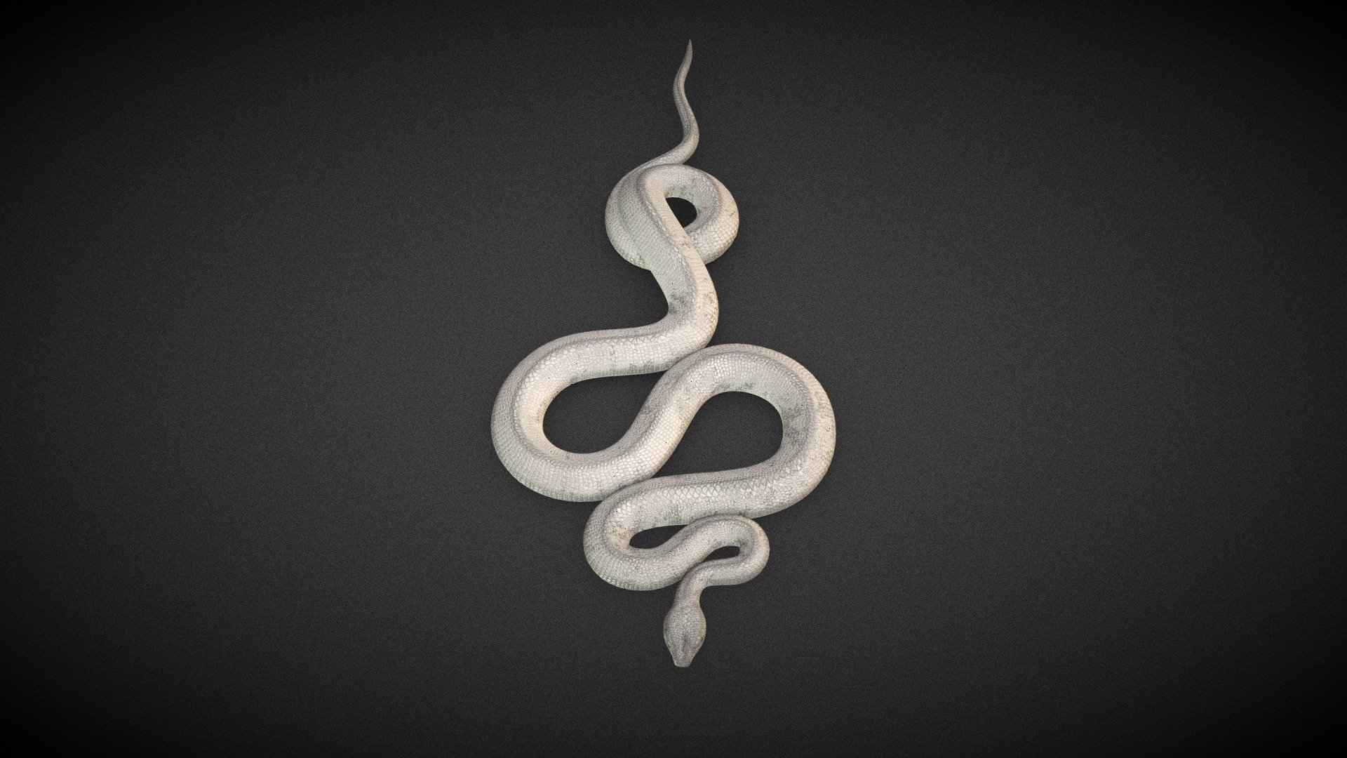 White Snake - Buy Royalty Free 3D model by Eugene Korolev (@eugene ...