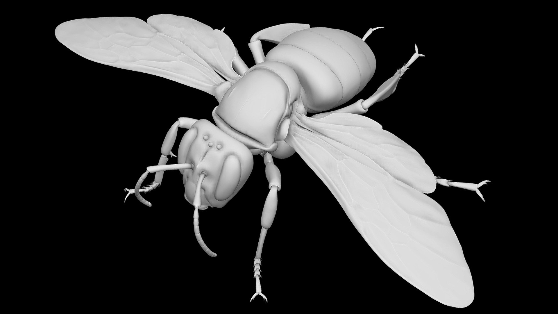 Bombus Ignitus - Download Free 3D model by tunosemi [12ca81f] - Sketchfab