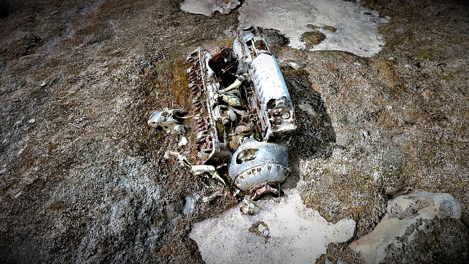 Junkers Ju 88 engine - 3D model by Eerie polar aviation (@eerieaviation ...