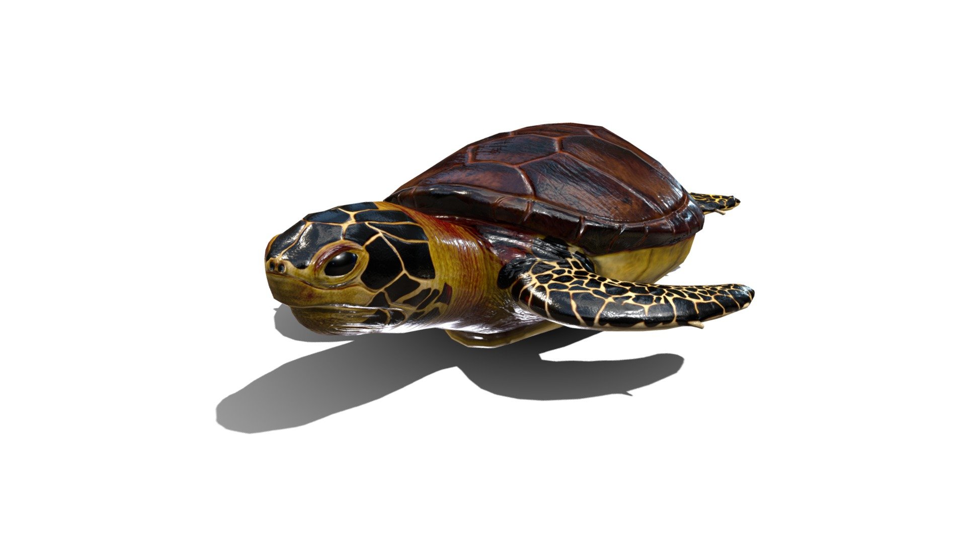 Sea Turtle - 3D model by artisan3dventures [12d5294] - Sketchfab