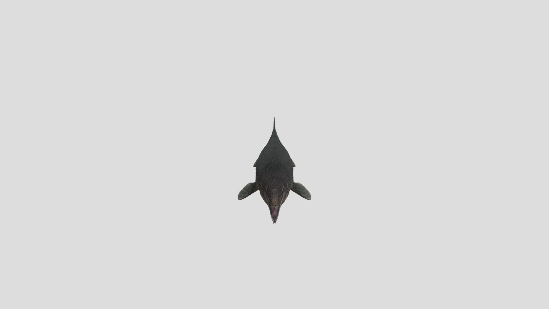 HD Mosasaurus - Download Free 3D model by Modbuff (@CGreature) [12d5645 ...