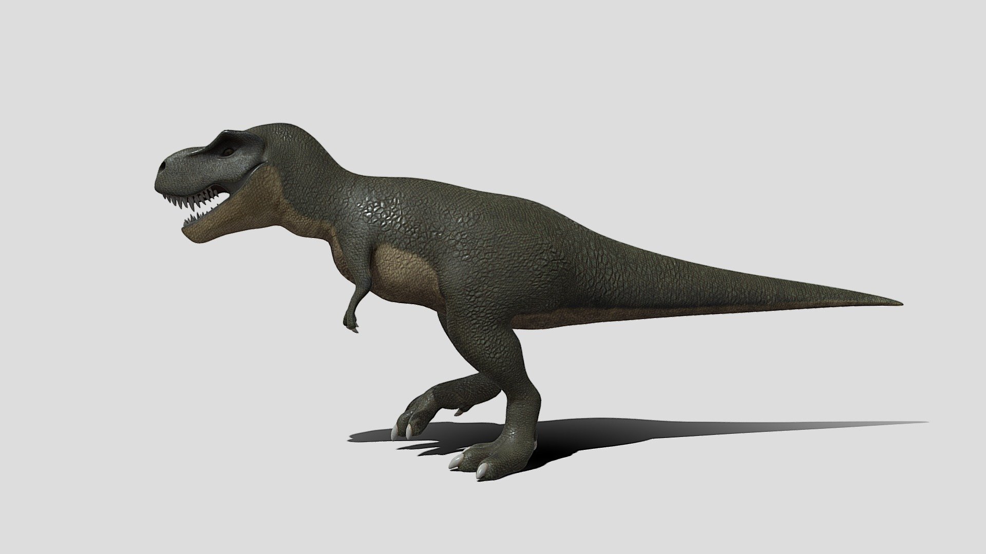 Animated T-Rex - Download Free 3D model by assetfactory [12d68c0 ...