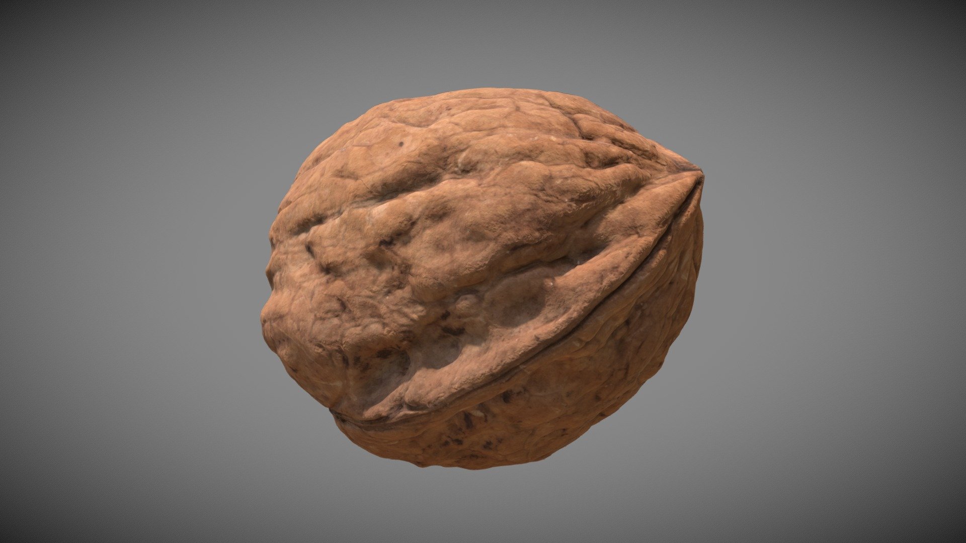 Walnut - Buy Royalty Free 3D model by Eydeet [12e013d] - Sketchfab Store