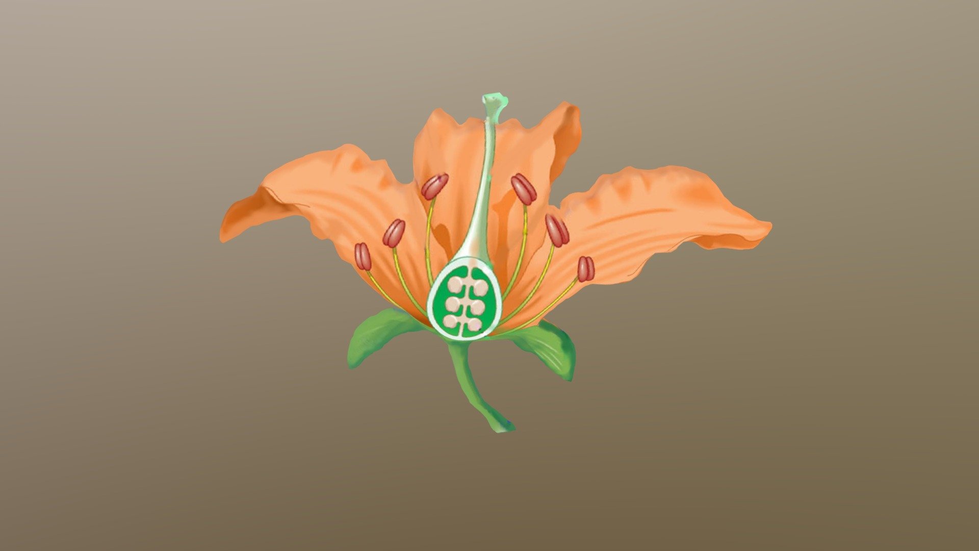 Bunga - 3D model by YuniRahmawati [12e031a] - Sketchfab