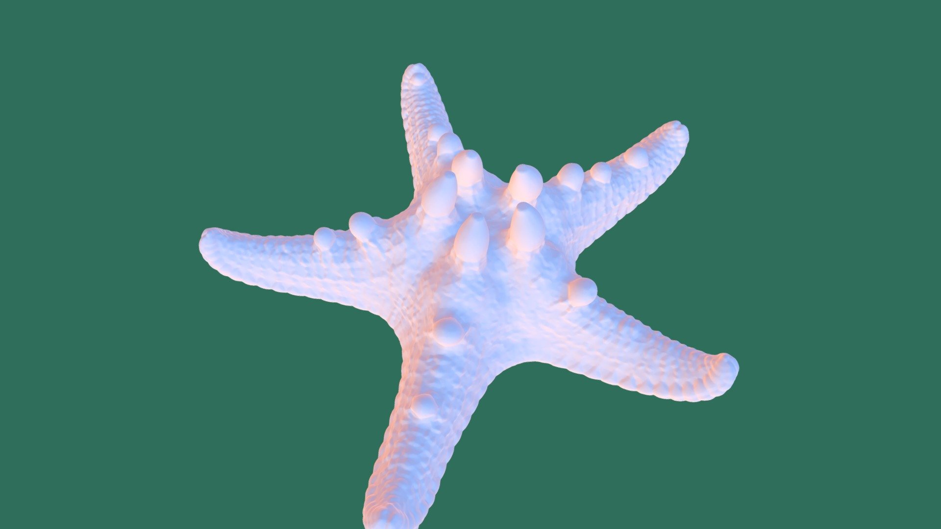 Starfish - 3D model by NJMDesign [12e2a2c] - Sketchfab