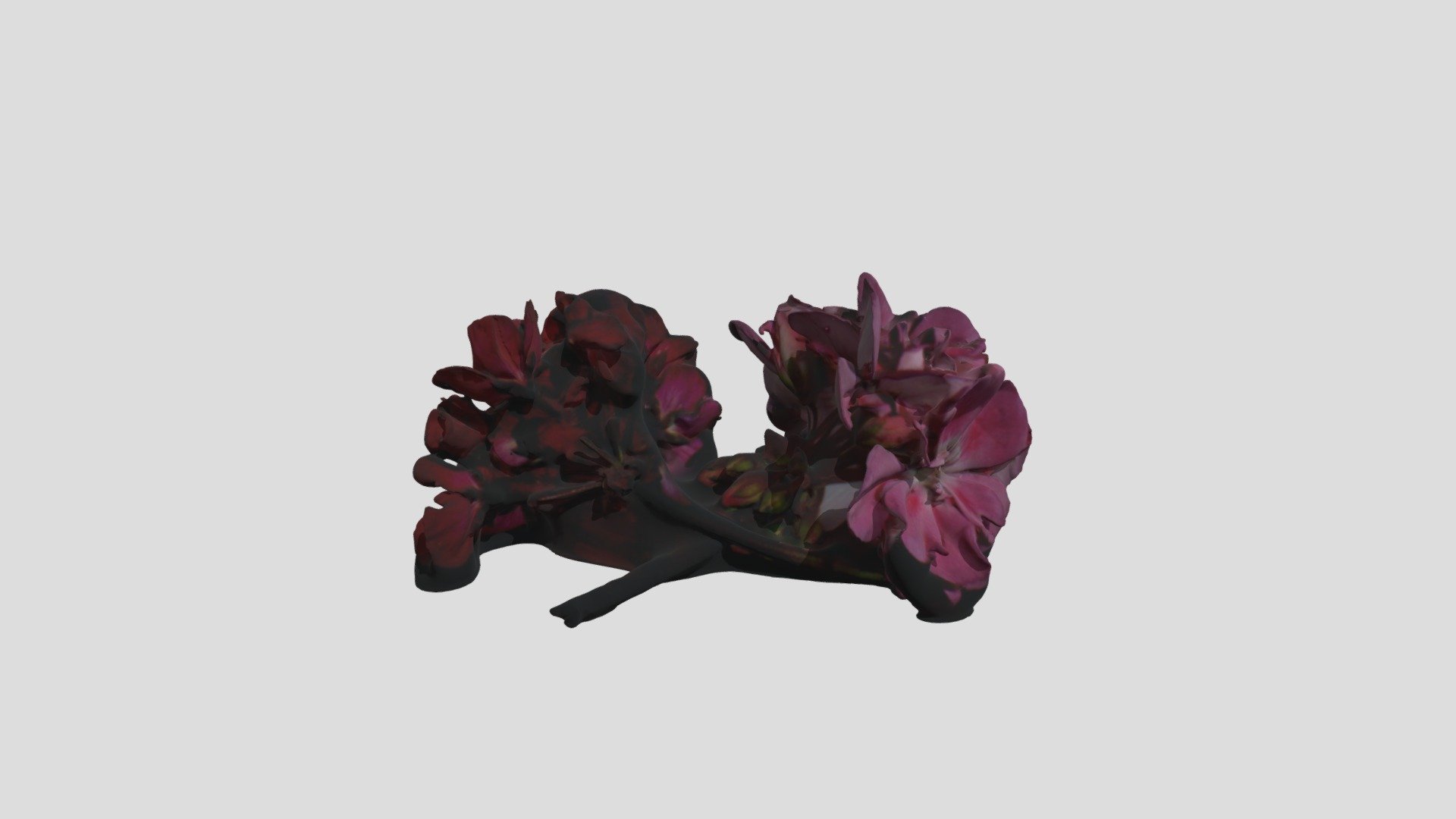 Flowers1 - Download Free 3D model by aimeric (@aimericg) [12e709b ...