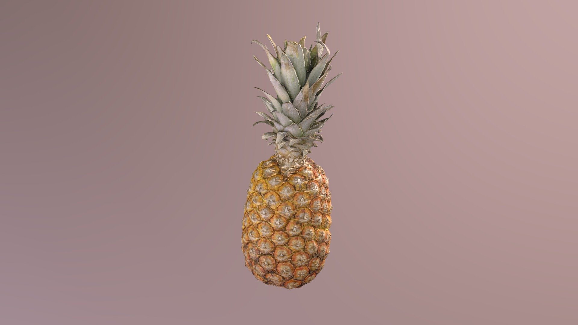 Ananas scan - 3D model by skywellcgi [12e7847] - Sketchfab