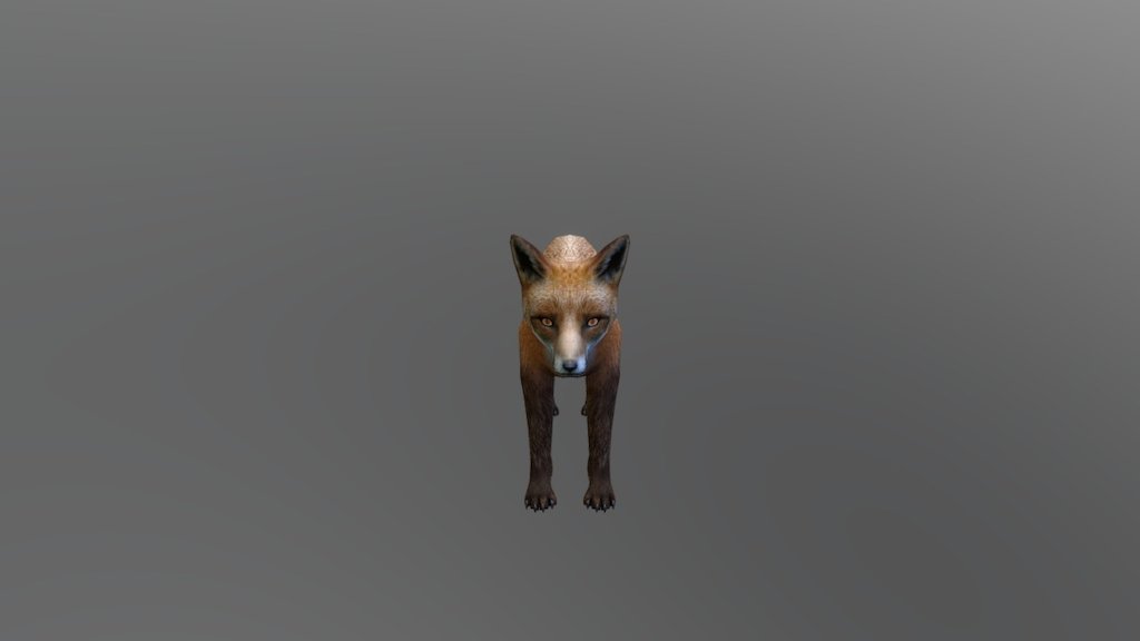 Fox Big Preview - 3D model by Turbo Rocket Games Model Testing (@Chibi ...