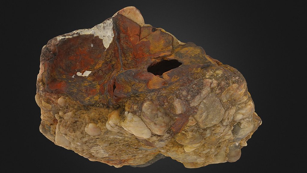 Siliceous Conglomerate - 3D model by Adddy [12eefad] - Sketchfab