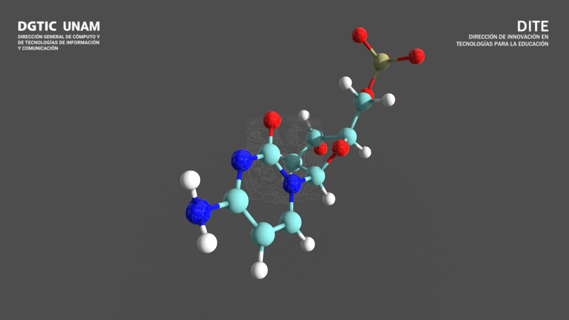 Eve3D Nucleótido Desoxirribonucleótido CMP - 3D model by UNAM | DGTIC ...