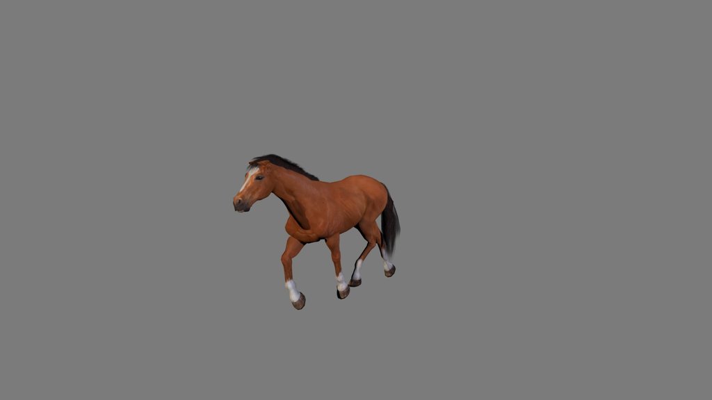 horses - A 3D model collection by faithraver29 - Sketchfab