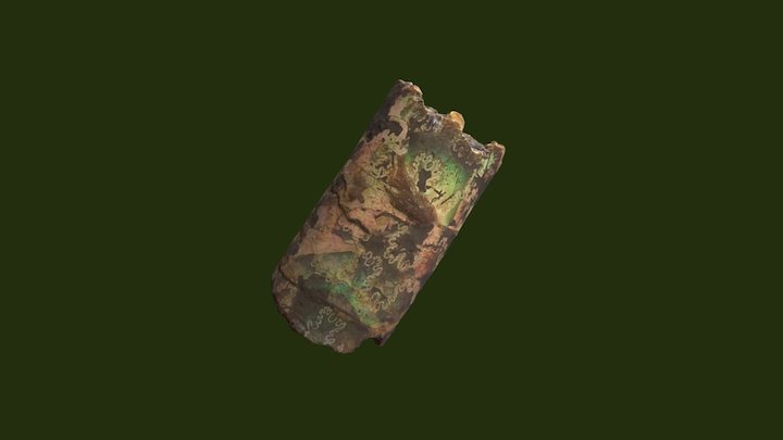 Baculites 3D models - Sketchfab