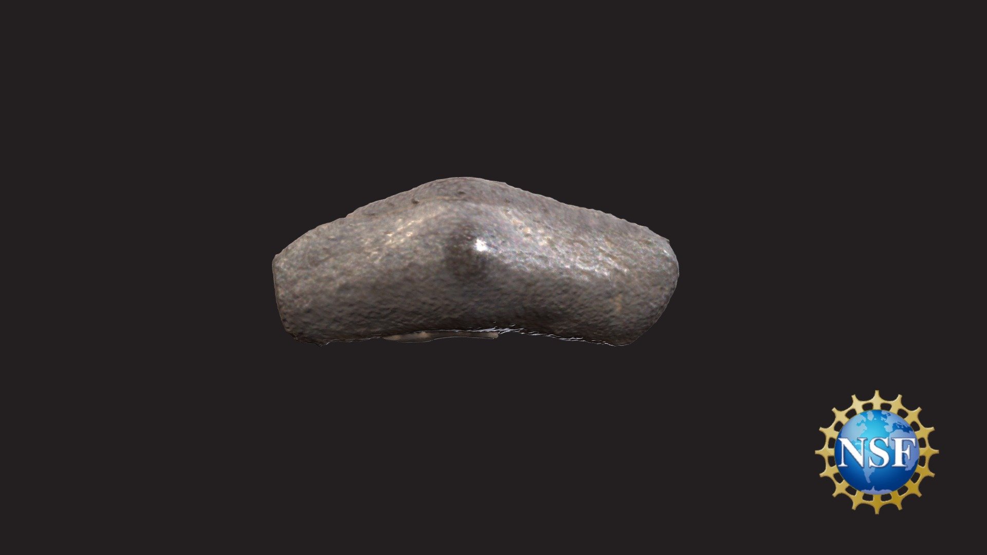 CMNH 7956, Orodus elegans - 3D model by Cleveland Museum of Natural ...