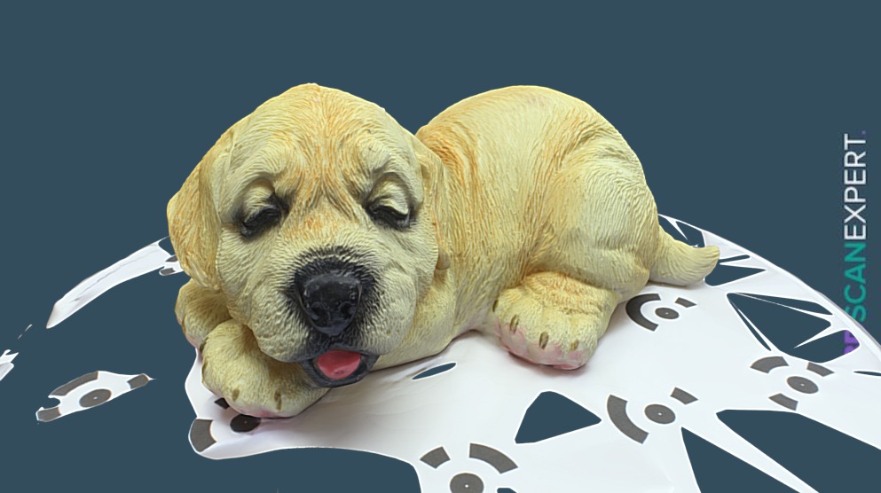 Dog Figure — Foldio360 + DSLR + ReCap 360 - 3D model by 3D Scan Expert ...