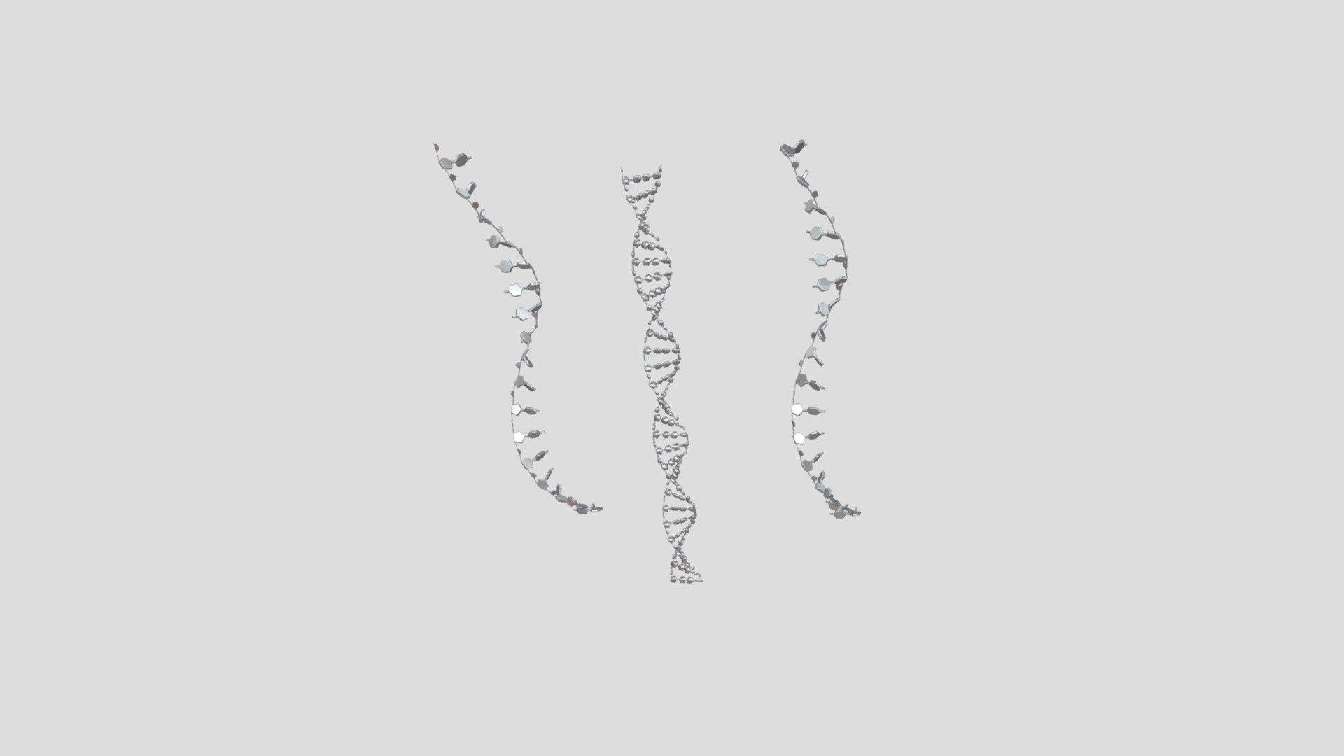dna_rna_animated_visualization - Download Free 3D model by niwied ...